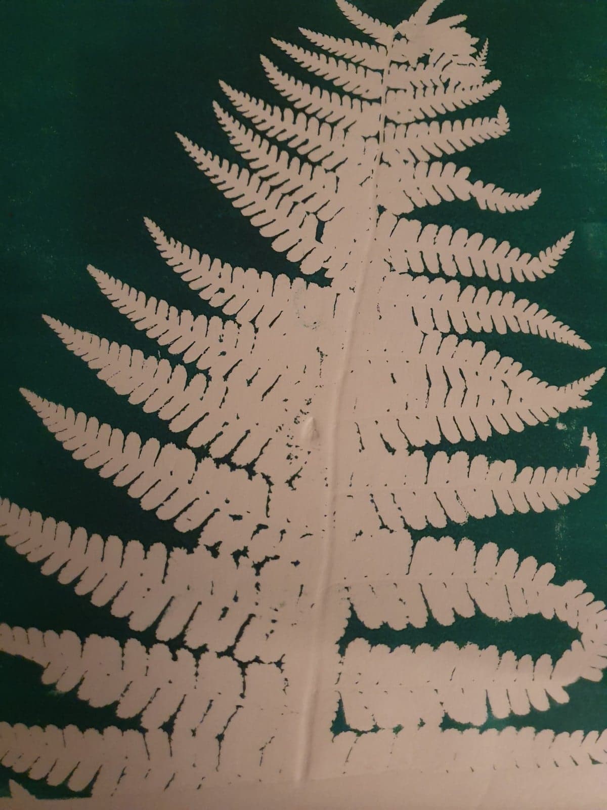 Screen print of a fern – Crafty Isobel